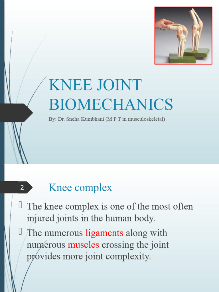 Knee Joint Biomechanics | PDF | Knee | Anatomical Terms Of Motion