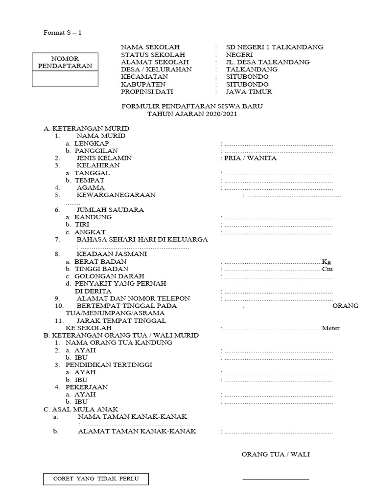File File Format s1 s2 Pendaftaran Siswa Baru 2024 | PDF