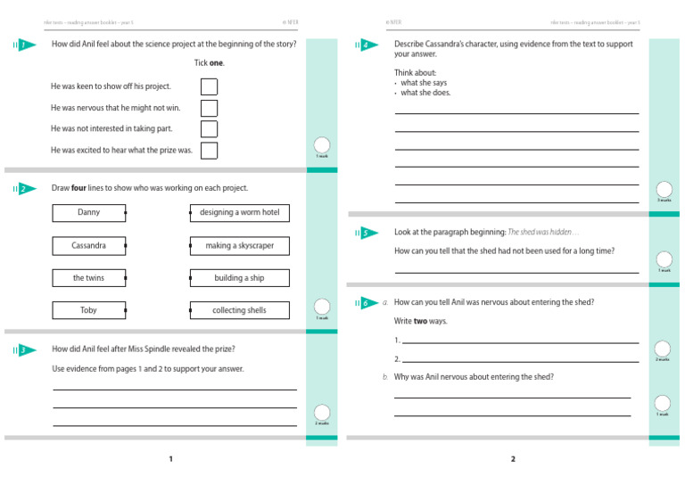Year 5 NFER Reading Answer Booklet | PDF