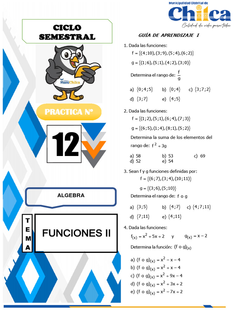 ÁLGEBRA 12_Semestral | PDF | Funciones y mapeos | Conceptos matemáticos