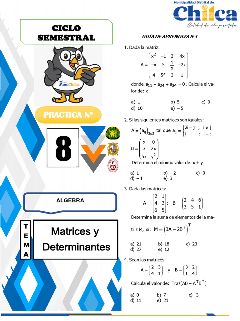 ALGEBRA 08 - Semestral | PDF | Matriz (Matemáticas) | Álgebra