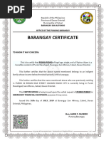 RSBSA Barangay Certificate | PDF