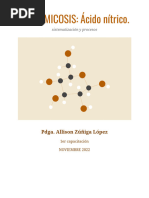 Guía sobre Cromoniquia y Alteraciones Ungueales | PDF | Clavo (anatomía ...