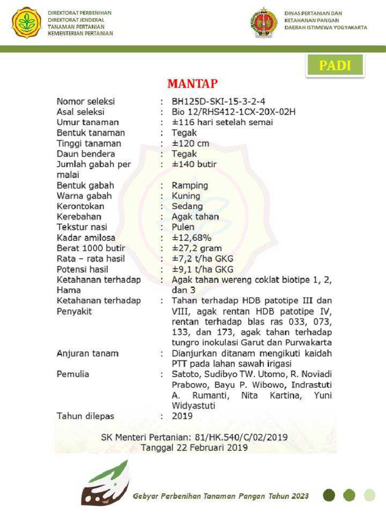 Padi-Mantap 3 | PDF
