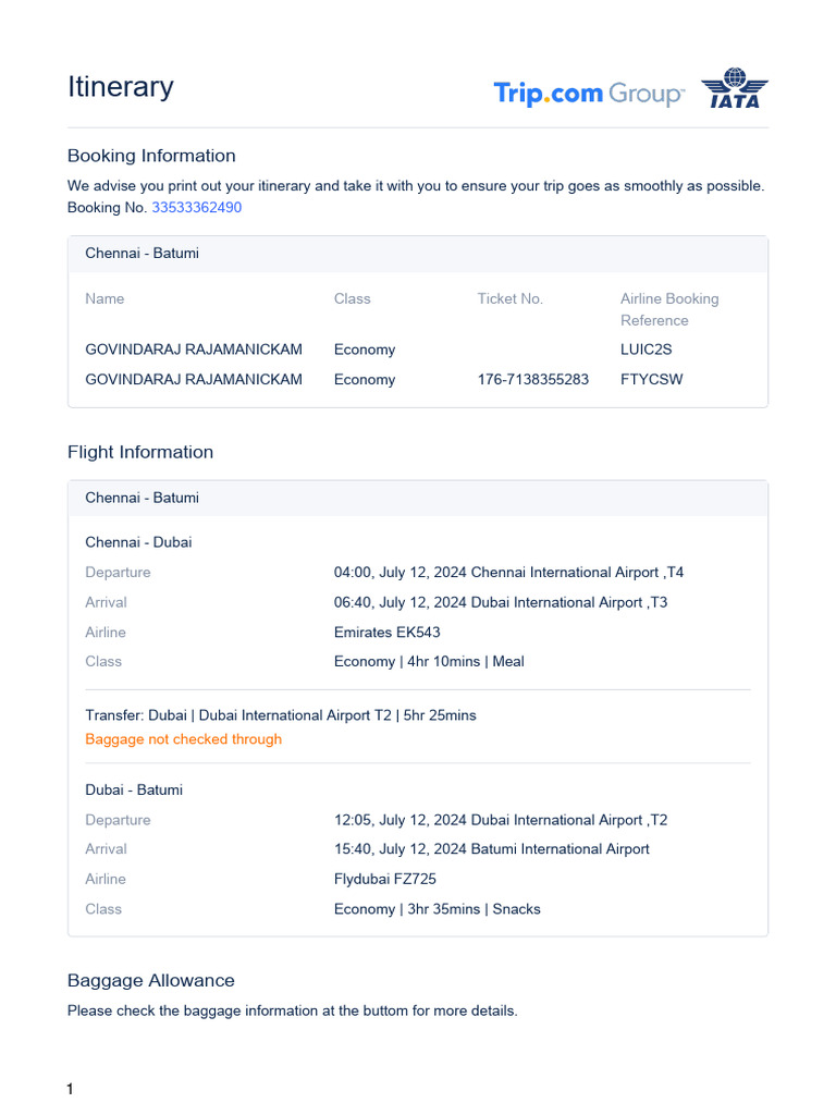 Flight Ticket | PDF | Baggage | Transport