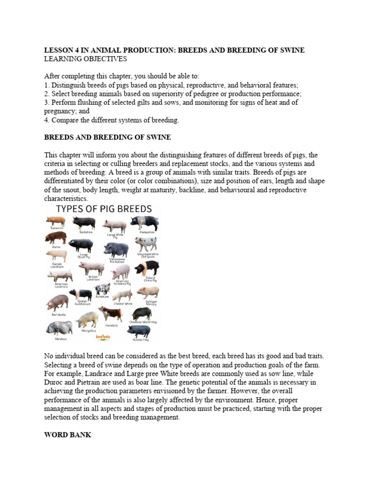 Lesson 4 in Animal Production | PDF | Pig | Domestication