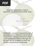 SCA Cupping Form | PDF | Coffee | Taste