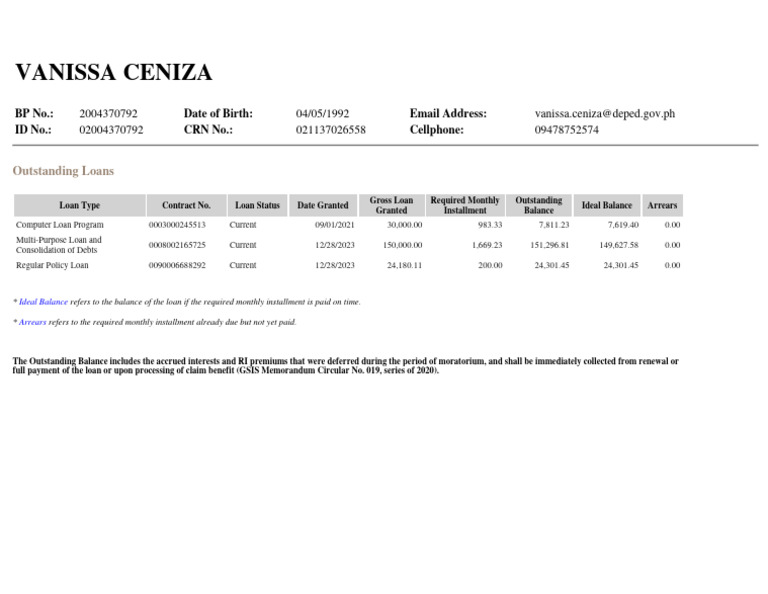 Vanissa Ceniza Loan Summary Report | PDF | Finance & Money Management