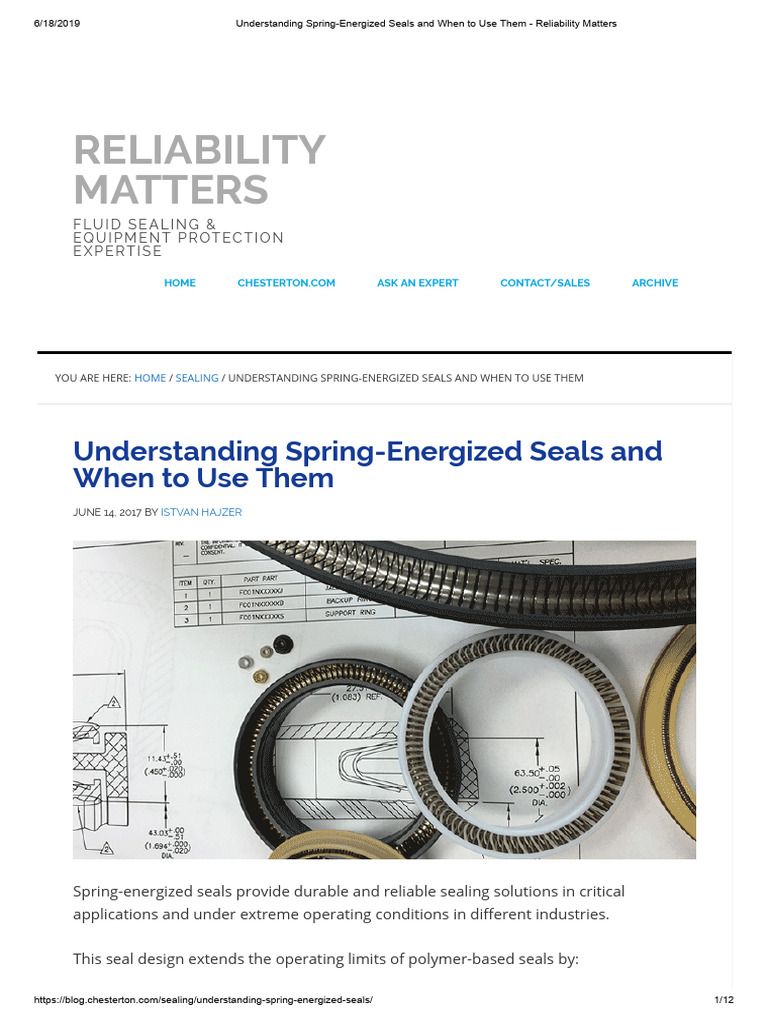 Understanding Spring-Energized Seals | PDF | Pump | Friction