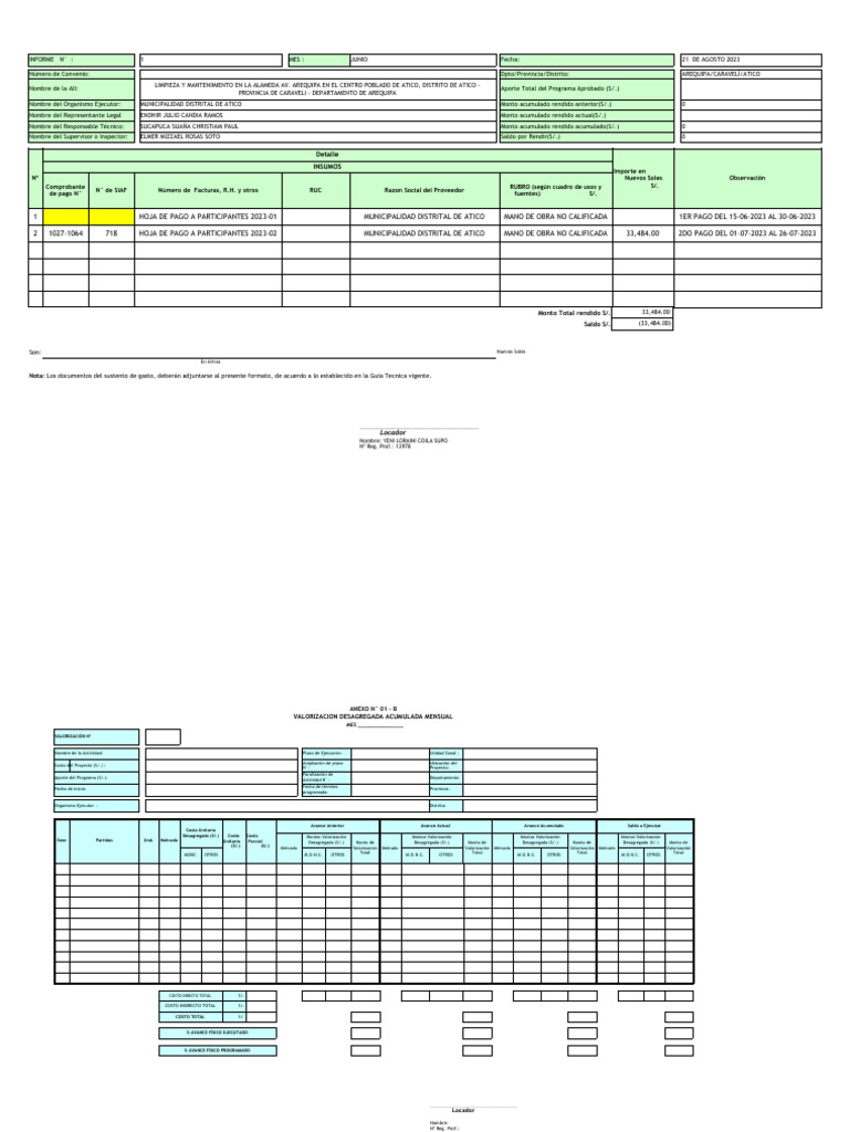 b) ANEXO N° 01-A y d) ANEXO N° 01-B- FORMATOS DEL MODELO DE REPORTE DE SEGUIMIENTO | PDF
