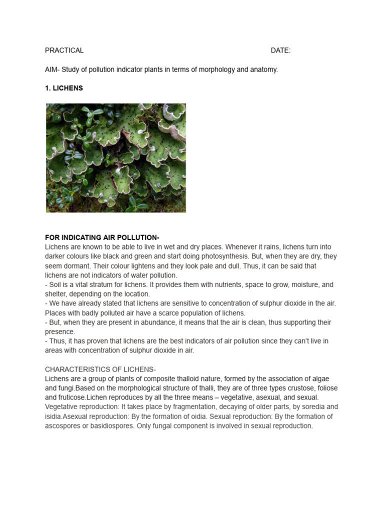pollution indicators | PDF | Plants | Algae