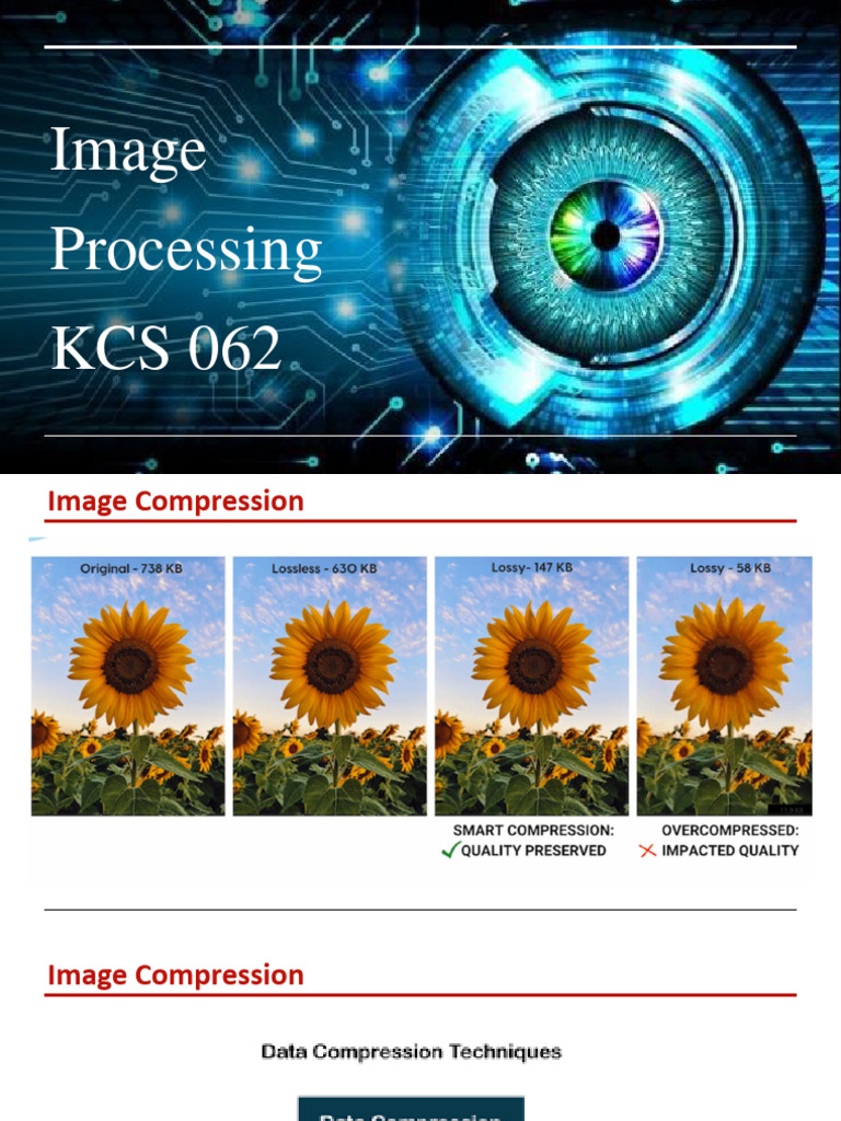 Image Processing PPT Unit 5 | PDF | Area | Data Compression