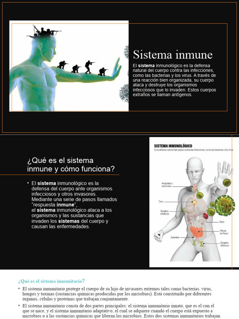Sistema Inmune Ppt | Descargar gratis PDF | Sistema inmune | Linfocitos