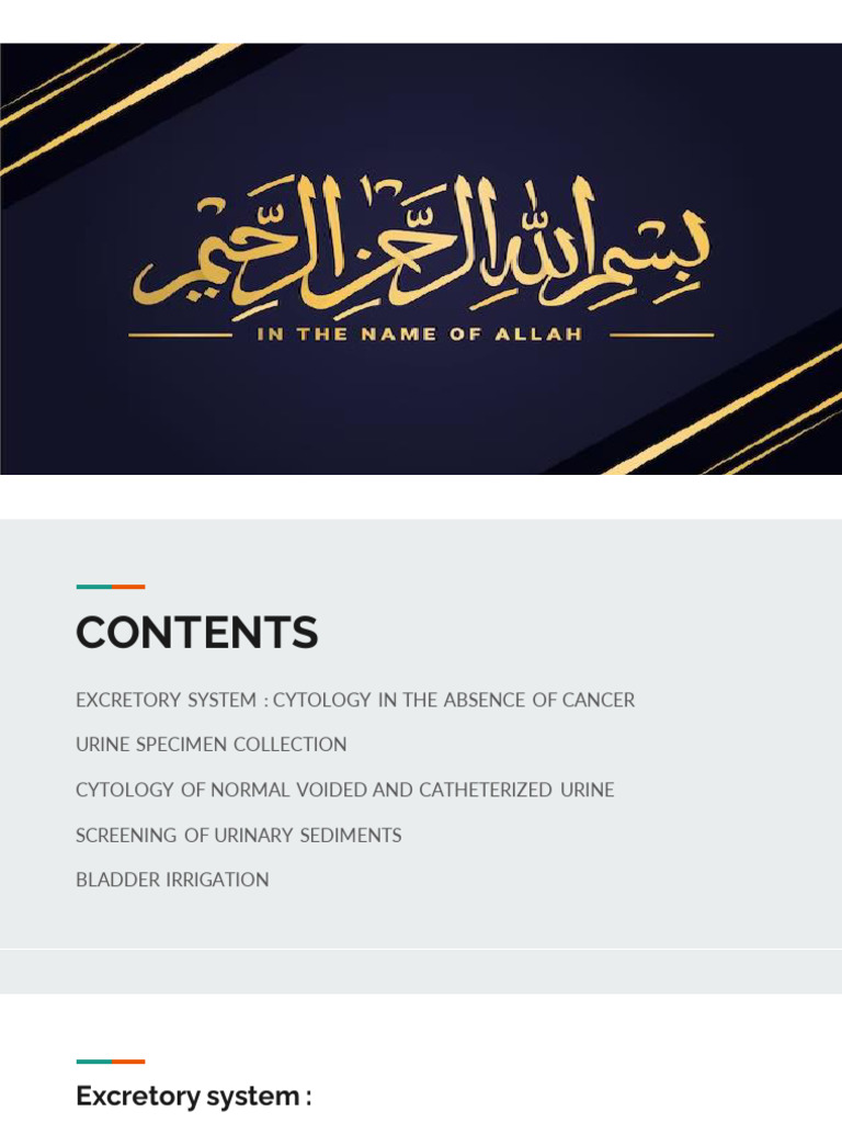 Cytology Presentation | PDF | Kidney | Urinary Tract Infection