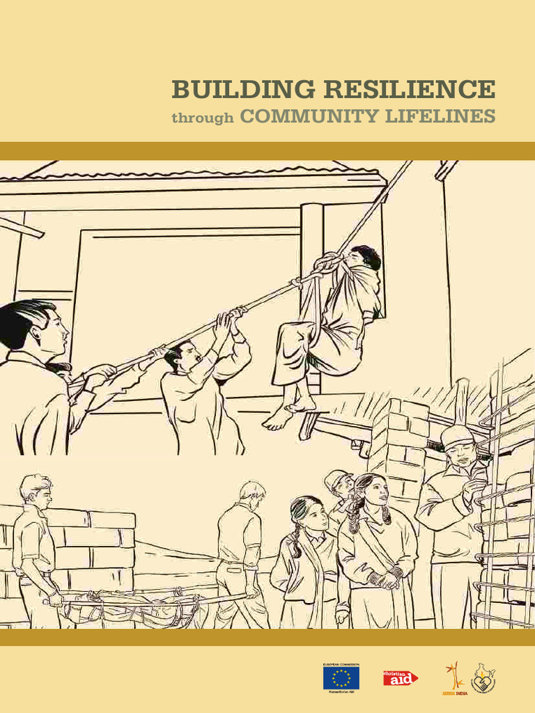 Building Resiliance Report | PDF | Disaster Risk Reduction | Emergency ...