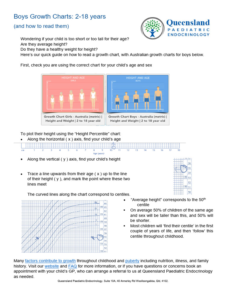 Boys Growth Charts: Ages 2-18 Guide | PDF | Percentile