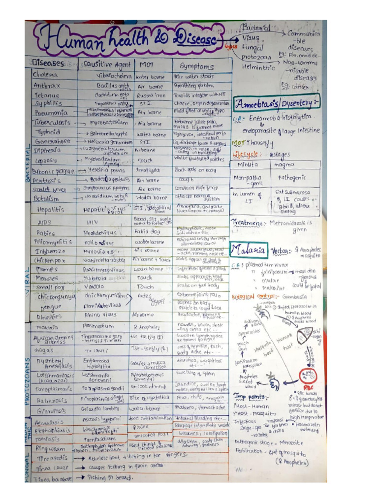 Human Health SRT | PDF