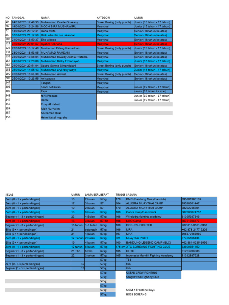 Final Fight Card 2024 | PDF