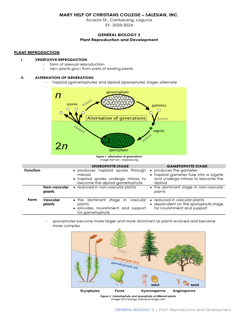 Plant Reproduction & Development Guide | PDF | Sexual Reproduction ...