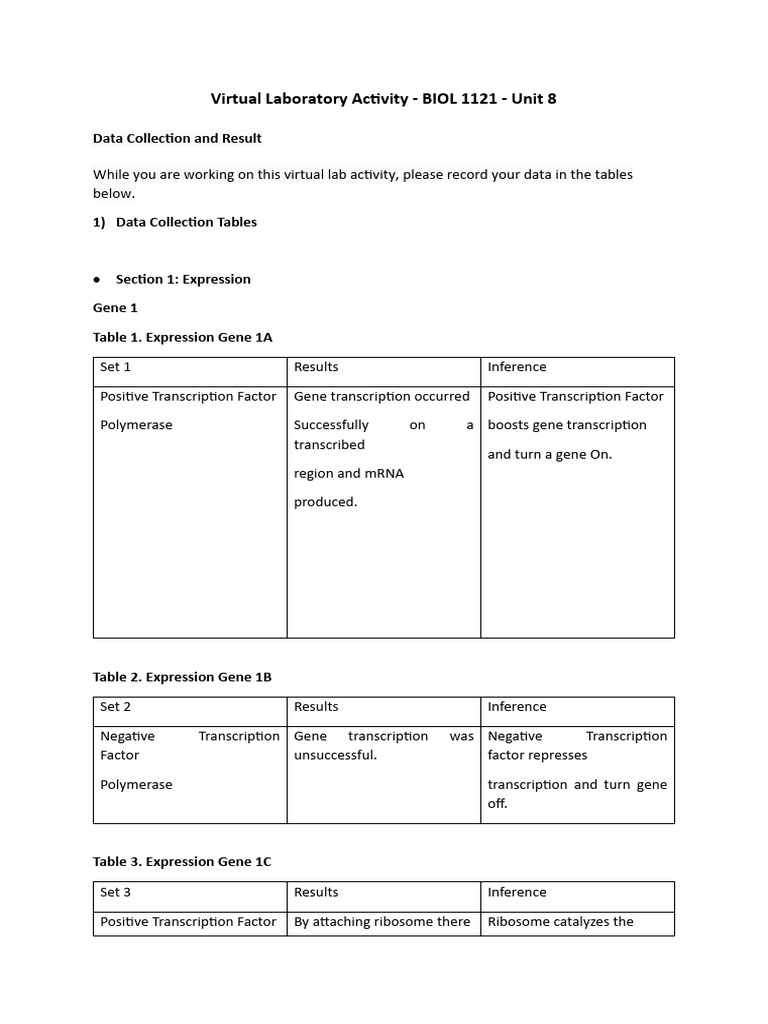 Gene Expression Virtual Lab Guide | PDF | Messenger Rna | Gene Expression