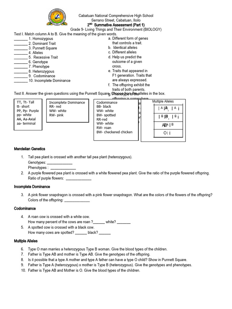 Grade 9 Biology Genetics Assessment | PDF | Dominance (Genetics) | Genotype