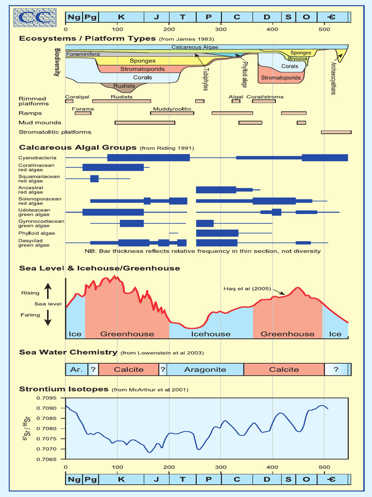 CCL Carbonate Card Side B | PDF