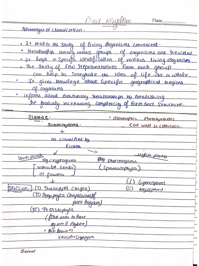 Plant Kingdom Class Notes | PDF