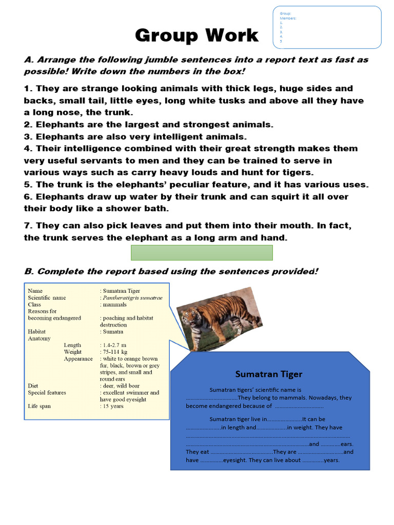 Group Work Writing A Report Text | PDF