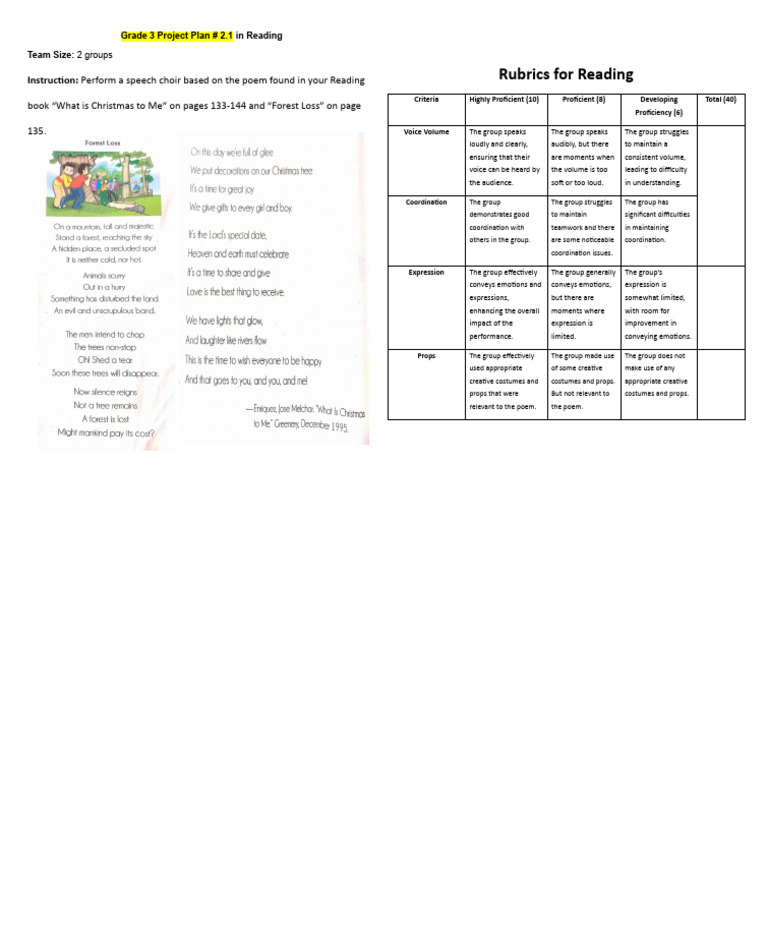 Grade 3 Project Plan # 2.1 in Reading | PDF | Human Communication