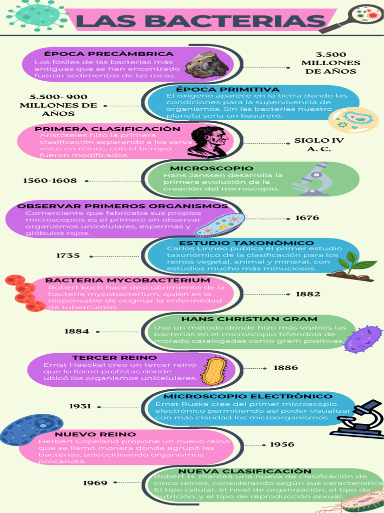 Línea de Tiempo Bacterias (1) | PDF | Las bacterias | Procariota