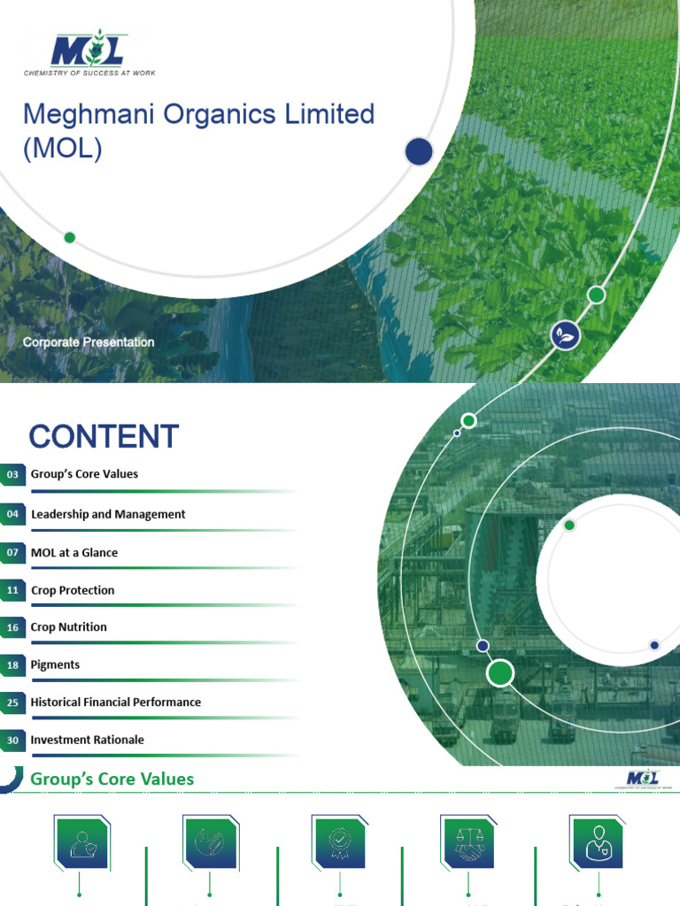 Meghmani Organics Limited Corporate Overview | PDF | Titanium Dioxide