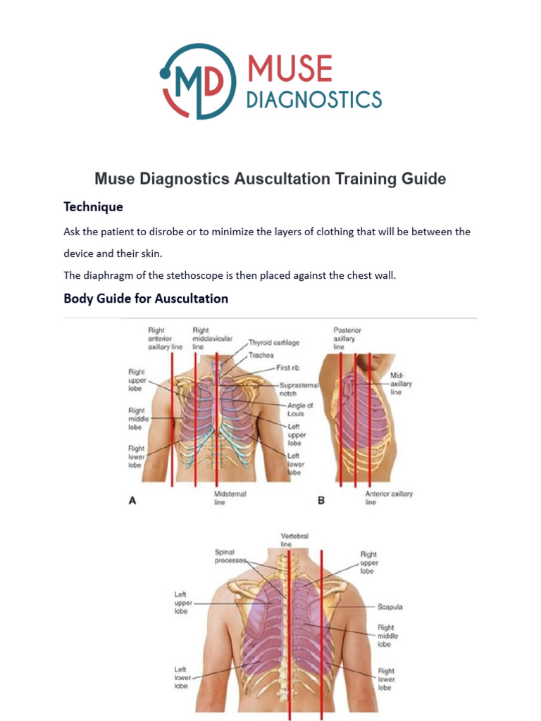 Auscultation Training Guide | PDF | Lung | Heart