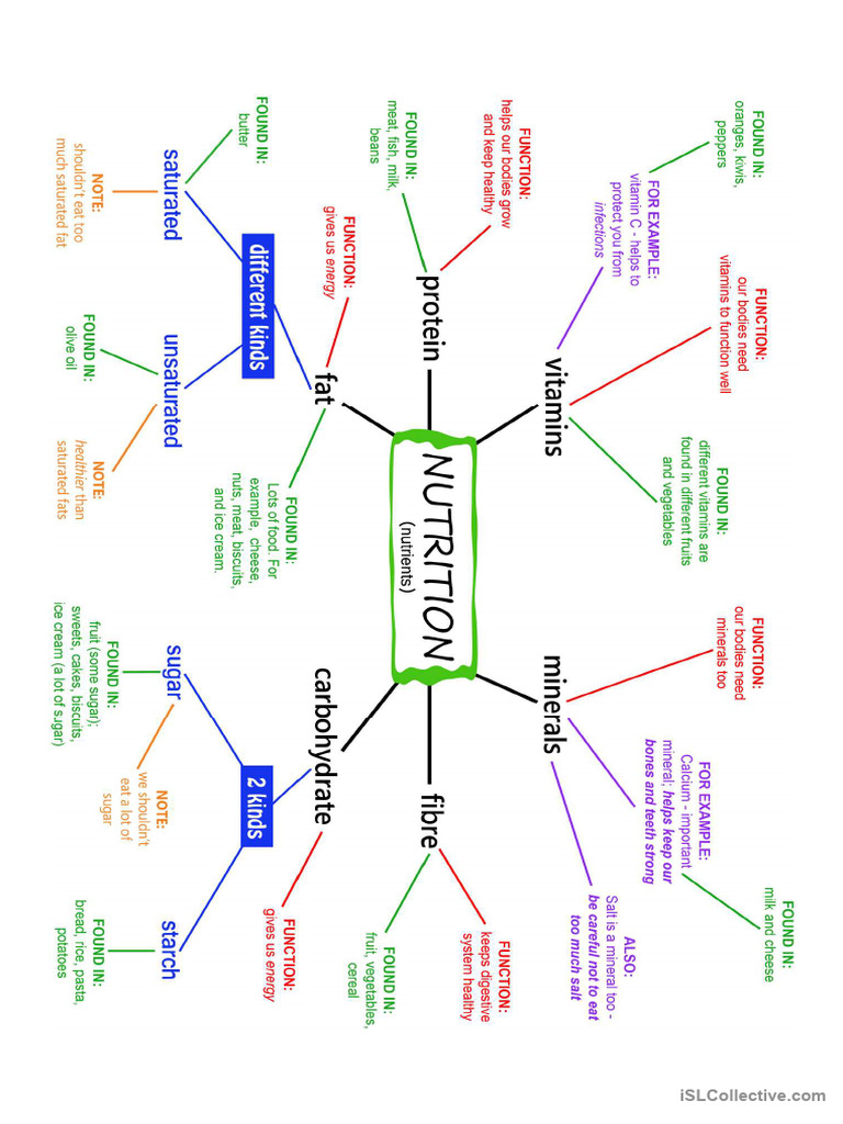 Nutrition (Nutrients) Mind Map and exercises | Download Free PDF ...