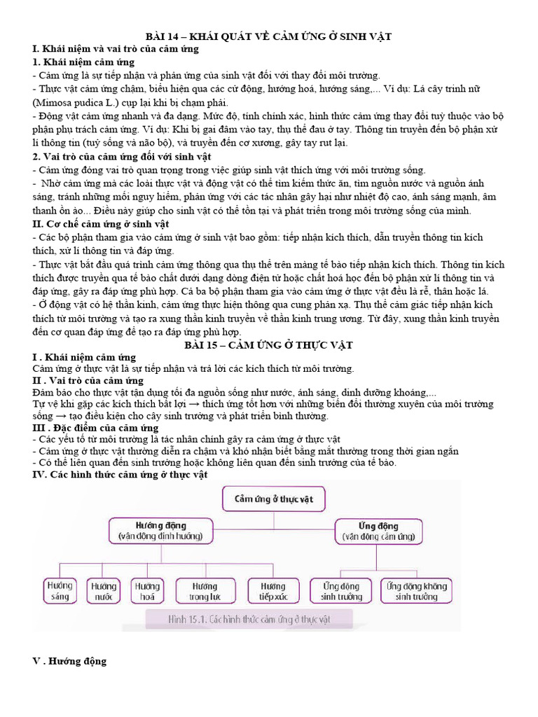 Đề cương môn Sinh hk2 11 | PDF