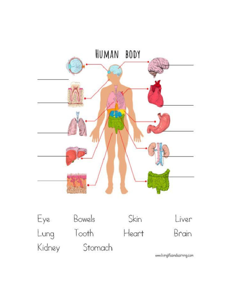 Sci Unit 5 Grade 2b | PDF