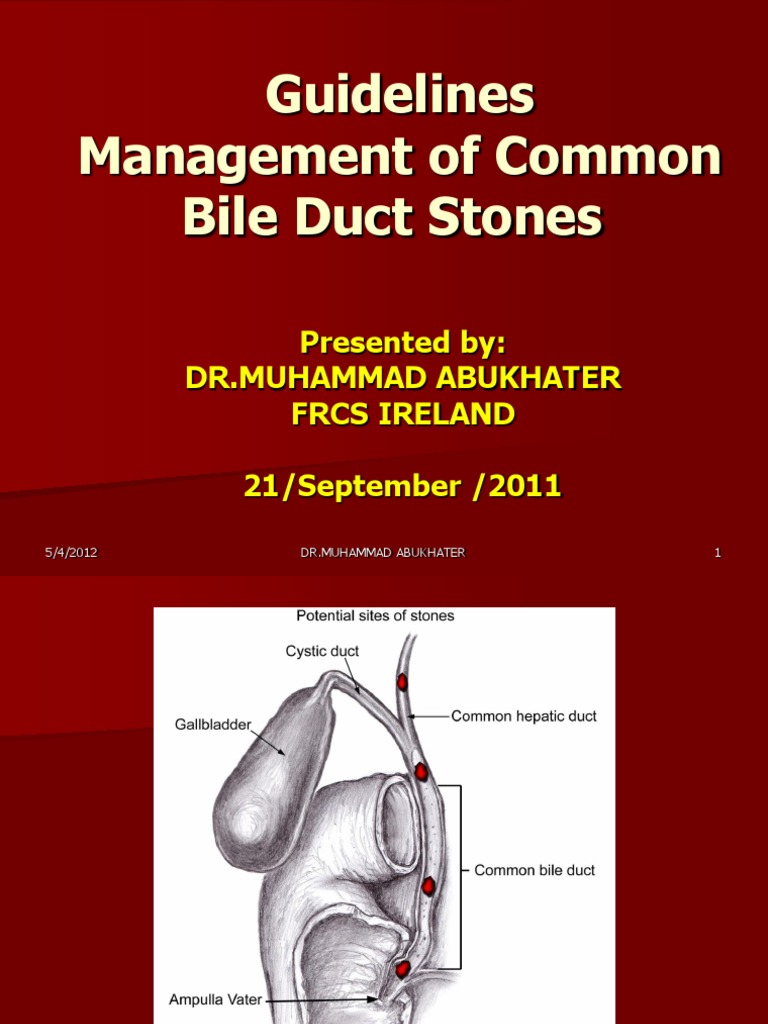 Guidelines Management Of Common Bile Duct Stones Pdf