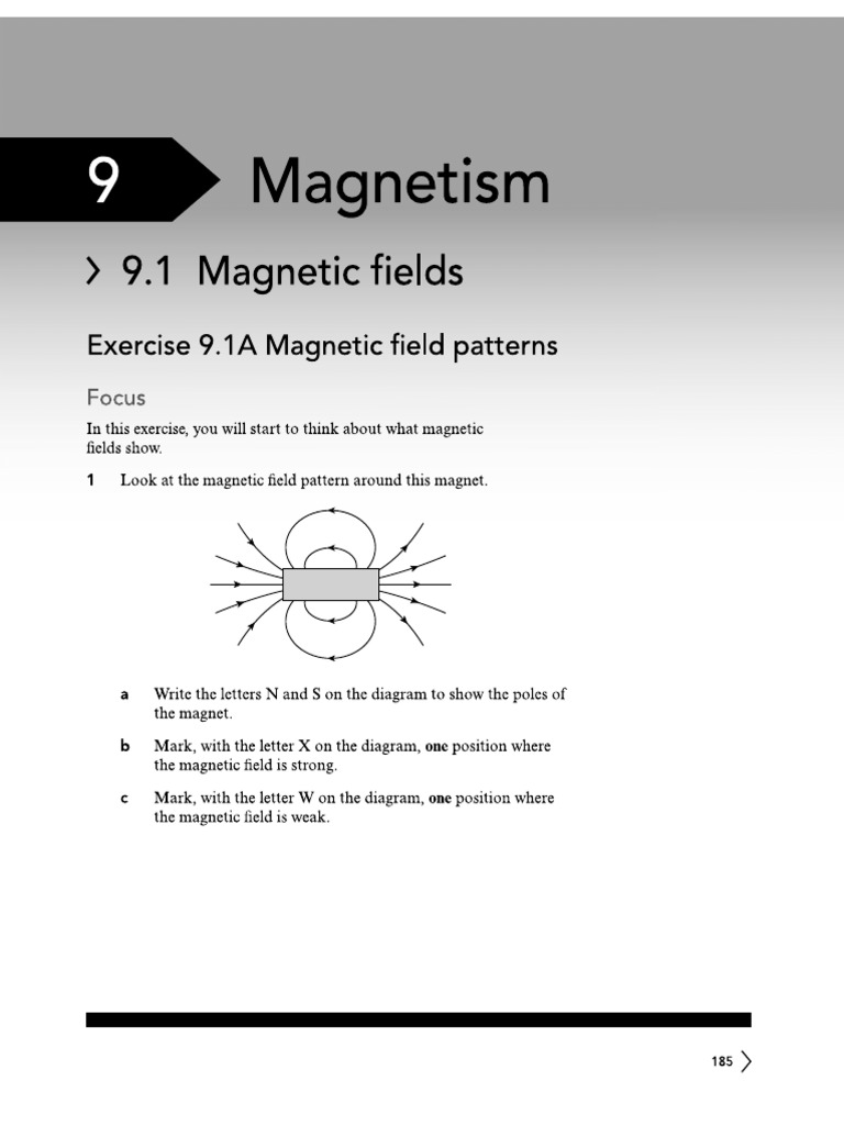 Chapter 9 Magnetism | PDF