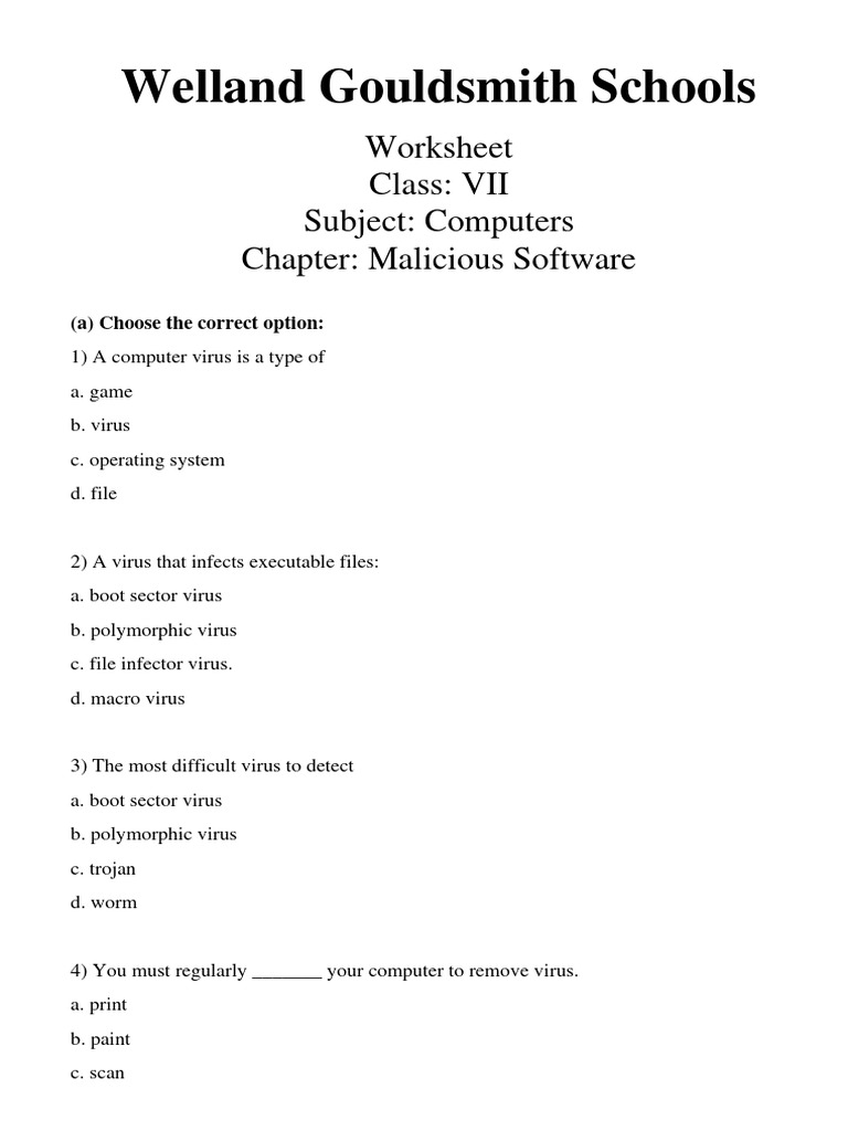 Worksheet Computer Class 7 Malicious Software | PDF