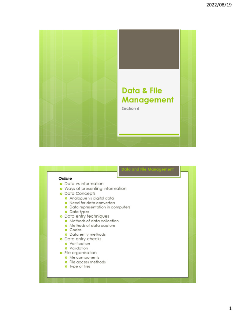 Section6 DataAndFileManagement | PDF | Data | Information