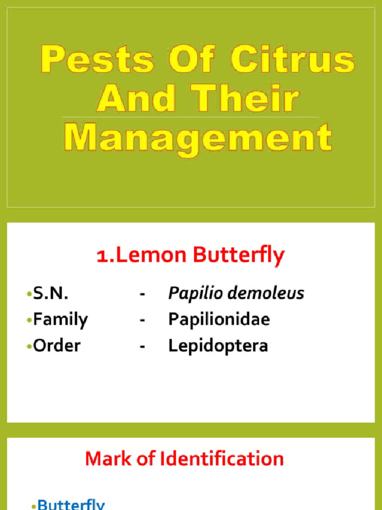Pests of Citrus | PDF