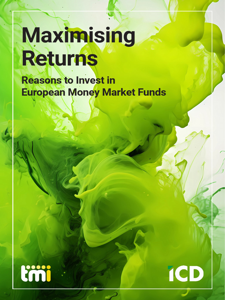 Maximising-Returns-Whitepaper | PDF | Money Market Fund | Investing
