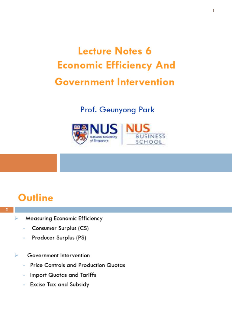 Economic Efficiency & Government Intervention | PDF | Economic Surplus ...