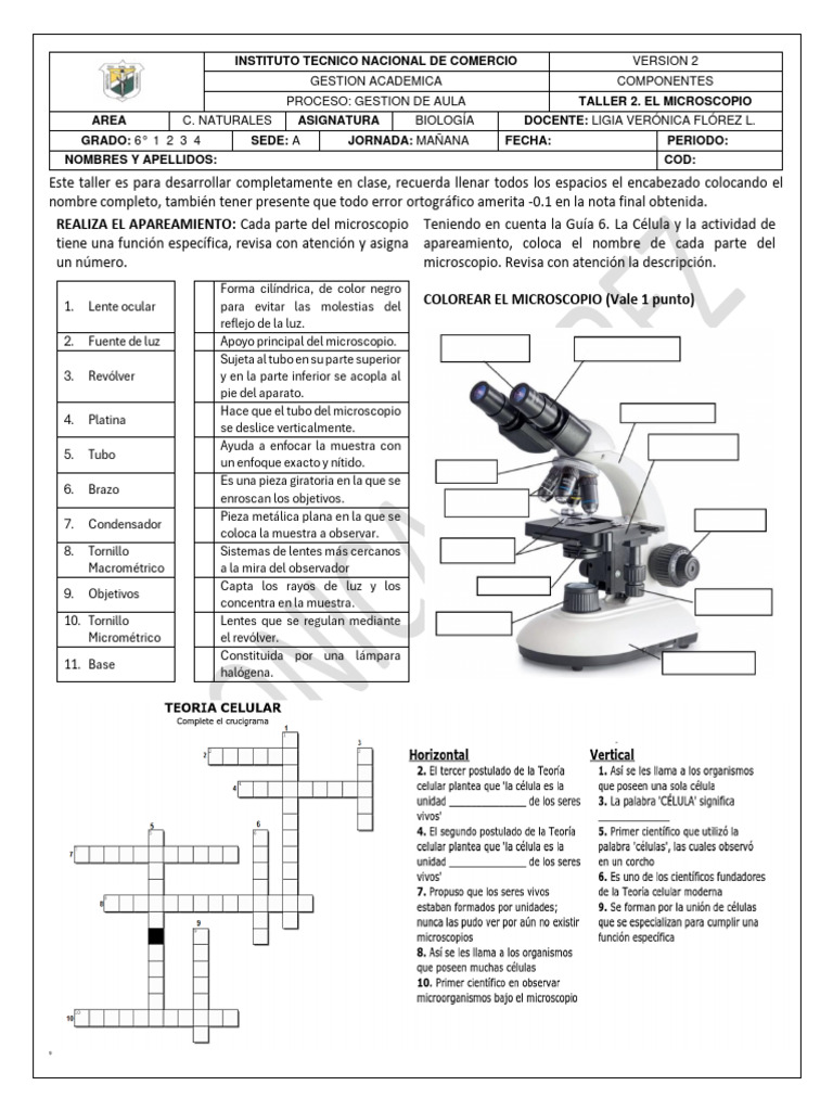 Taller de Microscopio para Secundaria | PDF | Microscopio | Óptica