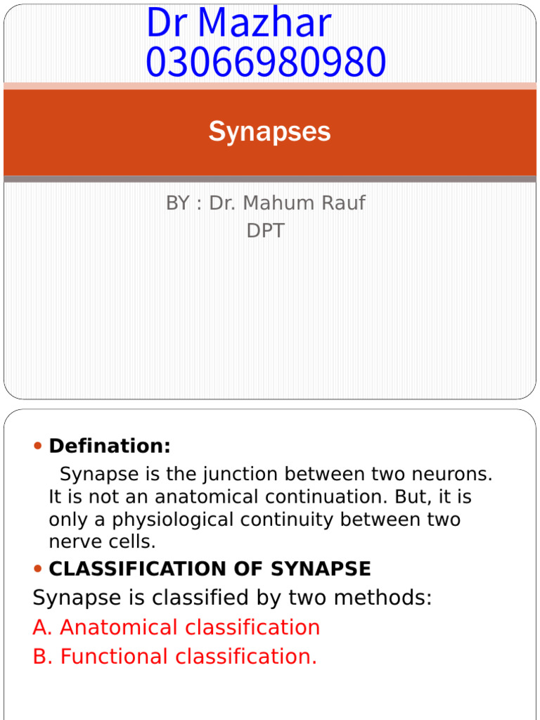 Understanding Synapses: Types & Functions | PDF | Chemical Synapse ...