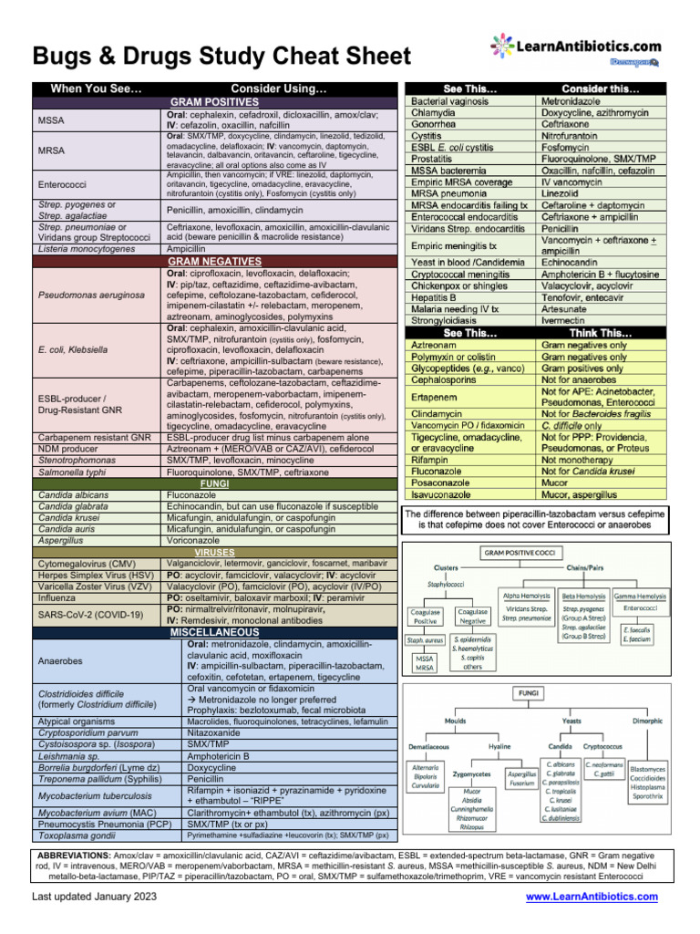 Bugs and Drugs Cheat Sheet Jan 2023 | PDF | Staphylococcus Aureus ...