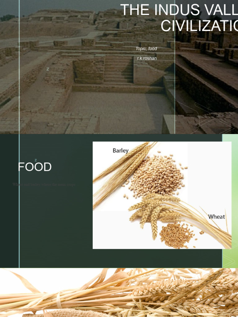 The Indus Valley Civilization | PDF