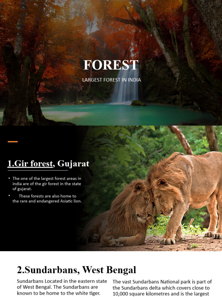 Forest-1 1 | PDF