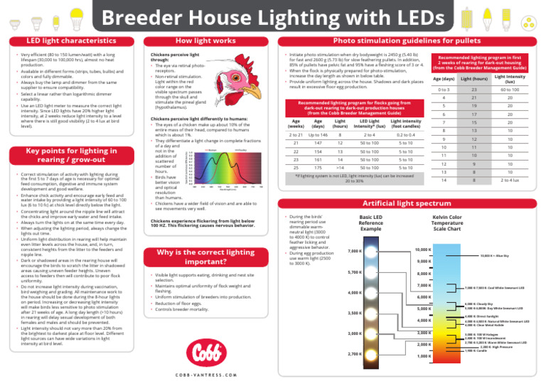 Breeder Lighting Program Guidelines | PDF | Lighting | Chicken