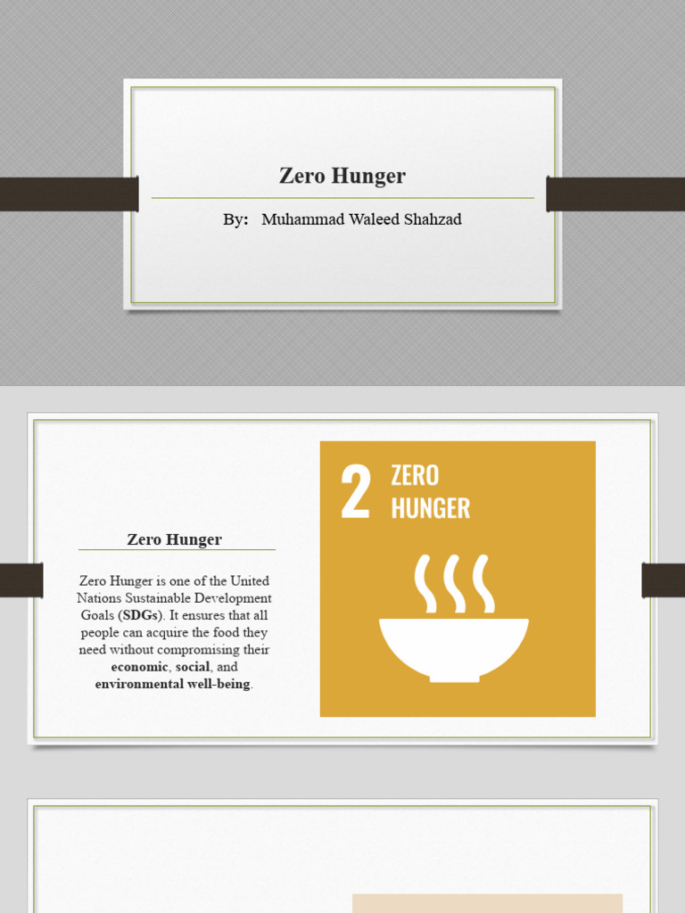 Zero Hunger | PDF | Hunger | Malnutrition