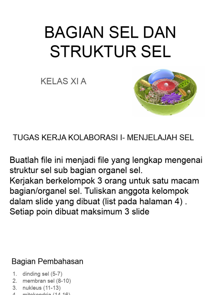 STRUKTUR SEL KELAS XI A | PDF